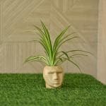 Buy Plantlane Ceramic Small Face Mask Pot/Planter For Plants (Cream ...