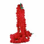 Buy Klassic Red Plastic Stencils with 4 Different Design Patterns (Pack ...