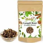 Buy Dirghaanshi Dry Gangadi, Gangdi, Gangari, Gengchi Roots, Grewia ...