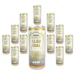 Buy Newtreo Club Soda | 100% Natural Unsweetened Soda Water | Zero ...