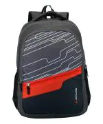 Buy ZIPLINE Unisex Casual Polyester 36 L Backpack School Bag Women Men ...