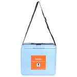 Buy FAIRBIZPS Mini Vaccine Carrier Box with 2 Ice Pack Small Vaccine ...