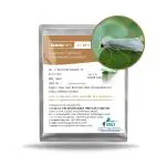 Buy GAIAGEN STB Lure - Pheromone Lure for Sugarcane Top Borer ...