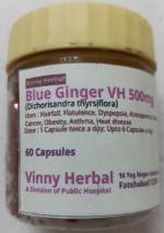 Buy Blue Ginger DH Herbal Supplement Capsules 60 Caps Jar - DoctorKC ...