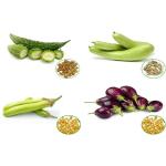Buy Master Green Organic Bitter Gourd, Bottle Gourd, Brinjal Green Long ...