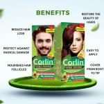 Buy CORLIN Herbal Burgundy Permanent Hair Color Cream For Men and Women ...