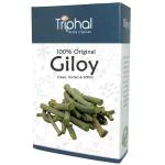Buy TRIPHAL Dried Giloy Stem or Geeloh or Amrita or Guduchi (Whole ...