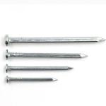 Buy RELY (Pcs-100) 1" inch/25 mm Hardened Concrete Nails Electro ...