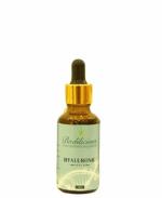 Buy Bodilicious - Hyaluronic Serum Online at Best Prices in India ...