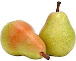 Buy Baishnab Pear PlantNaspati Plantpear60 Online at Best Prices in India - JioMart.