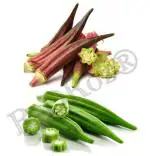 Buy R-DRoz Combo of Okra Bhindi RED & GREEN Variety Lady Fingers Seeds ...