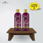 Buy Park Daniel Premium Onion Blackseed Shampoo, 100 Ml Each (Pack Of 2 ...
