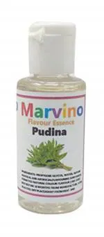 Buy MARVINO PUDINA FLAVOR ESSENCE 20 ML Online at Best Prices in India ...