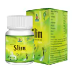 Buy Divya Shri Slim Tea Tablets with Green Tea & Herbs for Lose Body ...