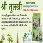 Buy Shri Tulsi Online at Best Prices in India - JioMart.