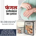 Buy Rudramani Ayurvedic Anti fungal Malam-Ringworm, itching, Eczema ...