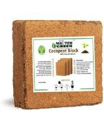Buy Master Green Cocopeat Block Organic Soil Manure 5 Kg Online at Best ...