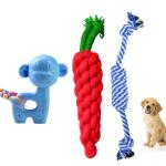 Buy Emily Pets 3 Pcs Cotton Rope Puppy Teething & Training Rubber Dog ...