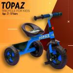 Buy Panda Blue Plastic Battery Operated Topaz Rider Bike Ride On Online at Best Prices in India ...