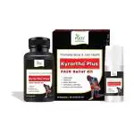 Buy PCHPL wellness Kyrortho Plus Pain Relief Kit- 60 Capsules + 50ml ...