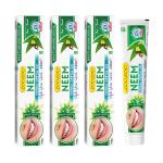 Buy LooLoo Herbal Dental Gel Neem |Organic Gel |Herbal Neem Toothpaste |Soothes Inflammation of ...