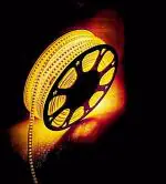 Buy OTS LIGHTS 10 Meter Waterproof Led Rope Light Warm (3000k ...