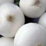 Buy MOZETTE Hybrid Onian Seed (65 per packet) Online at Best Prices in ...