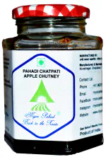 Buy Myor Pahad's Nature’s Pahadi Apple Jam 450 ml Pet Jar Bottle 100% ...
