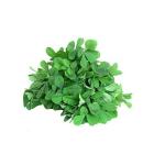 Buy Kechuaa Fenugreek/Methi Vegetables Seeds F1 Hybrid Combo Seeds For ...