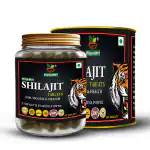 Buy Divya Shri Pure Shilajit Tablets with High Nutritional Potency ...