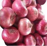 Buy MOZETTE Hybrid Onian Seed (65 per packet) Online at Best Prices in ...