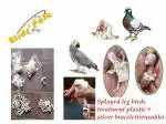Buy Birds' Park Splayed Leg Bird Treatment Bracelet-11pcs-Good for ...