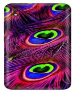 Buy Wrap Craft Fancy Sticker Printed Multicolor Back Skin High Quality ...