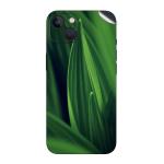 Buy GADGETSWRAP Printed Vinyl Skin Sticker for iPhone 15- Green Leaf ...