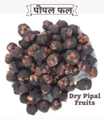 Buy SS520 Dried Pipal Phal 400g. Peepal Fal Pipal Tree Fruits Ficus ...