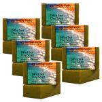 Buy Simply Vedic 6-Pack Dead Sea Clay Herbal Soap Bar Collection For Body, Hand, Face Online at ...
