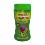 Buy Amrutulya Chyawanprash Special (Sugar Free) 1Kg| Enriched with ...