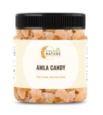 Buy ORGANIC NATURE Dried Dry Sweet Amla Candy (Indian Gooseberry) Jar ...