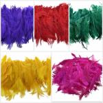 Buy Craftlove Multicolor Feather Craft Feathers (Pack Of 20) Online at ...