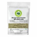 Buy NATURAL ORGANIC HERBAL Bhumi Amla Powder for eating and Health Care ...
