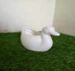 Buy Aenox duck pot for plants- 8 Online at Best Prices in India - JioMart.
