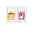 Buy sara earth COMBO OF ICECREAM PREMIX POWDER MANGO & STRAWBERRY ...