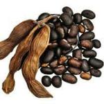 Buy Vi Vethan Poonaikali vithai (VELVET BEAN DRIED SEED) 100gm Online ...