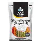 Buy 365 Spicery Stoneflower / Dagadful 500 g Online at Best Prices in ...