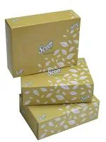 Buy Scott Flat Facial Tissue Box 2 Ply, 3 Boxes 100 sheets per box ...