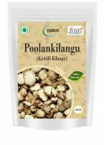 Buy Yamkay Curcuma Zedoary Root/Poolankilangu/Kichilli Kilangu 100gm ...