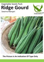Buy Fernsfly Ridge Gourd 10 Seeds Online at Best Prices in India - JioMart.