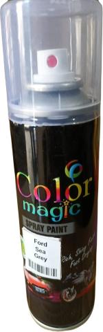 Buy COLORMAGIC SPRAY PAINT Ford Smoke Grey Spray Paint 200 ml (Pack of ...