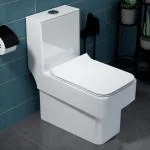 Buy Plantex Platinium Ceramic Rimless One Piece Western Toilet/Water ...