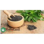 Buy HerbsLand HerbsLand Basil Seeds / Tukmariya / Sabja / Bapji Seed ...